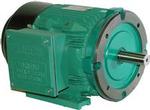 Brook Crompton 3-Phase Motor Distributor