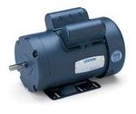 LEESON Single Phase General Purpose 50HZ Motors