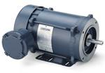 LEESON Single Phase Explosion Proof Electric Motors