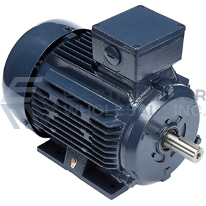 R331A MARATHON 10HP GLOBETROTTER IEC MOTOR 132MTFC6536