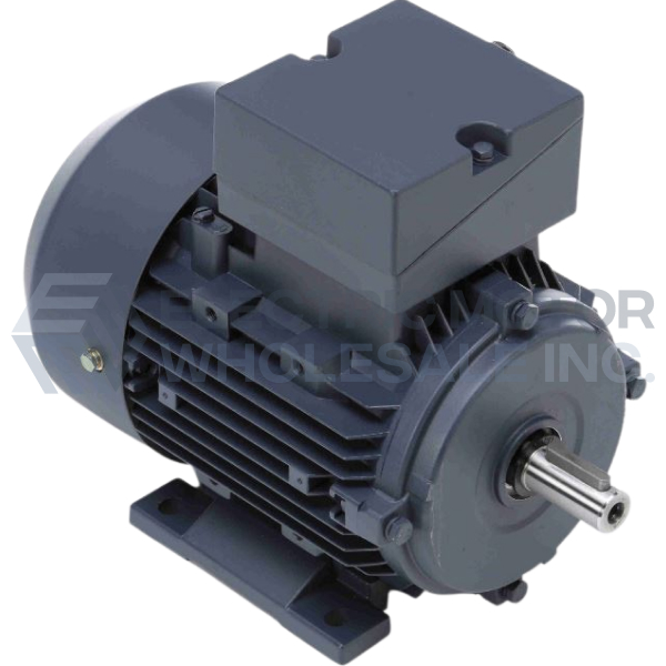 LEESON METRIC IEC 3-PHASE MOTORS