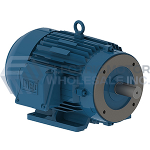 WEG Three Phase TEFC General Purpose Cast Iron C-Face Footed Motors