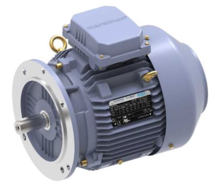 TERRAMAX Three Phase IEC Metric B5 Motors