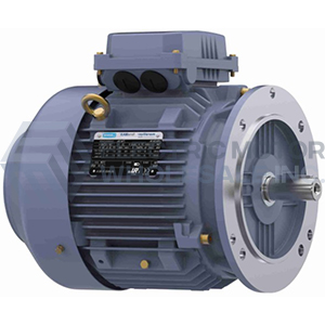 R858 MARATHON 75HP TERRAMAX IEC MOTOR TCA0552AE231GAA009