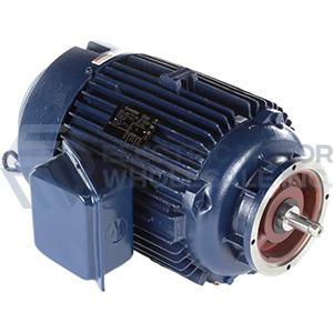 M838 MARATHON 60HP MOTOR 364TTDR5039